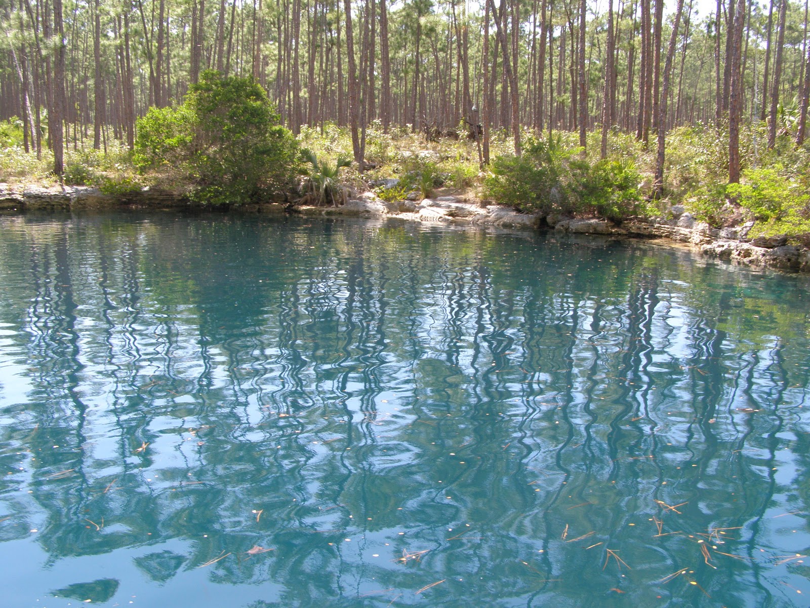 Escape With Us: Abaco Blue Holes'