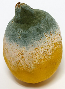 silver spring transit center: Lessons from the present