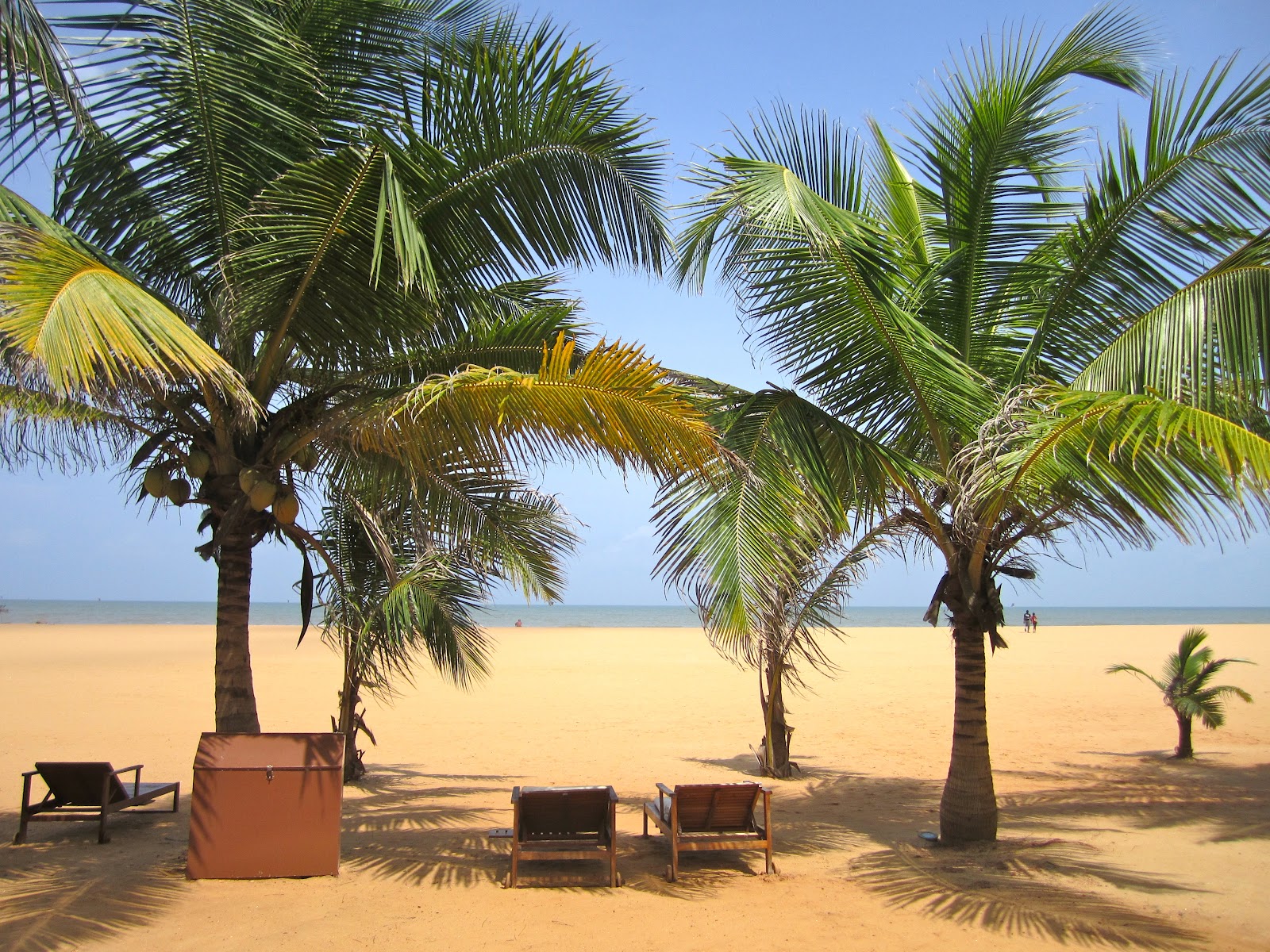 A Sakura Story: Sri Lanka - Negombo