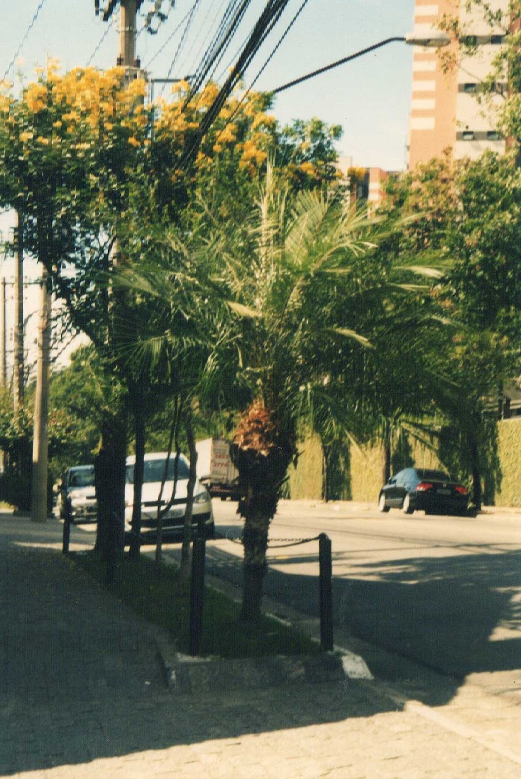 Neide Furukawa - Blog Crescendo e Vivendo : Diário de vida: caminhadas e pedras