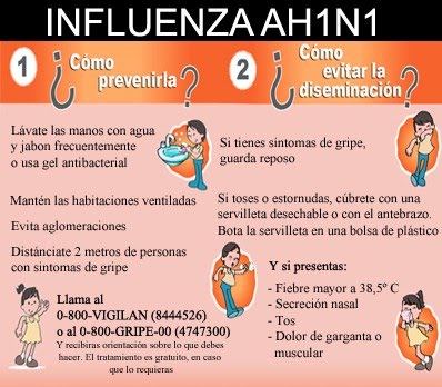 Influenza AH1N1 swine flu y otros temas de Salud: Influenza AH1N1 ...