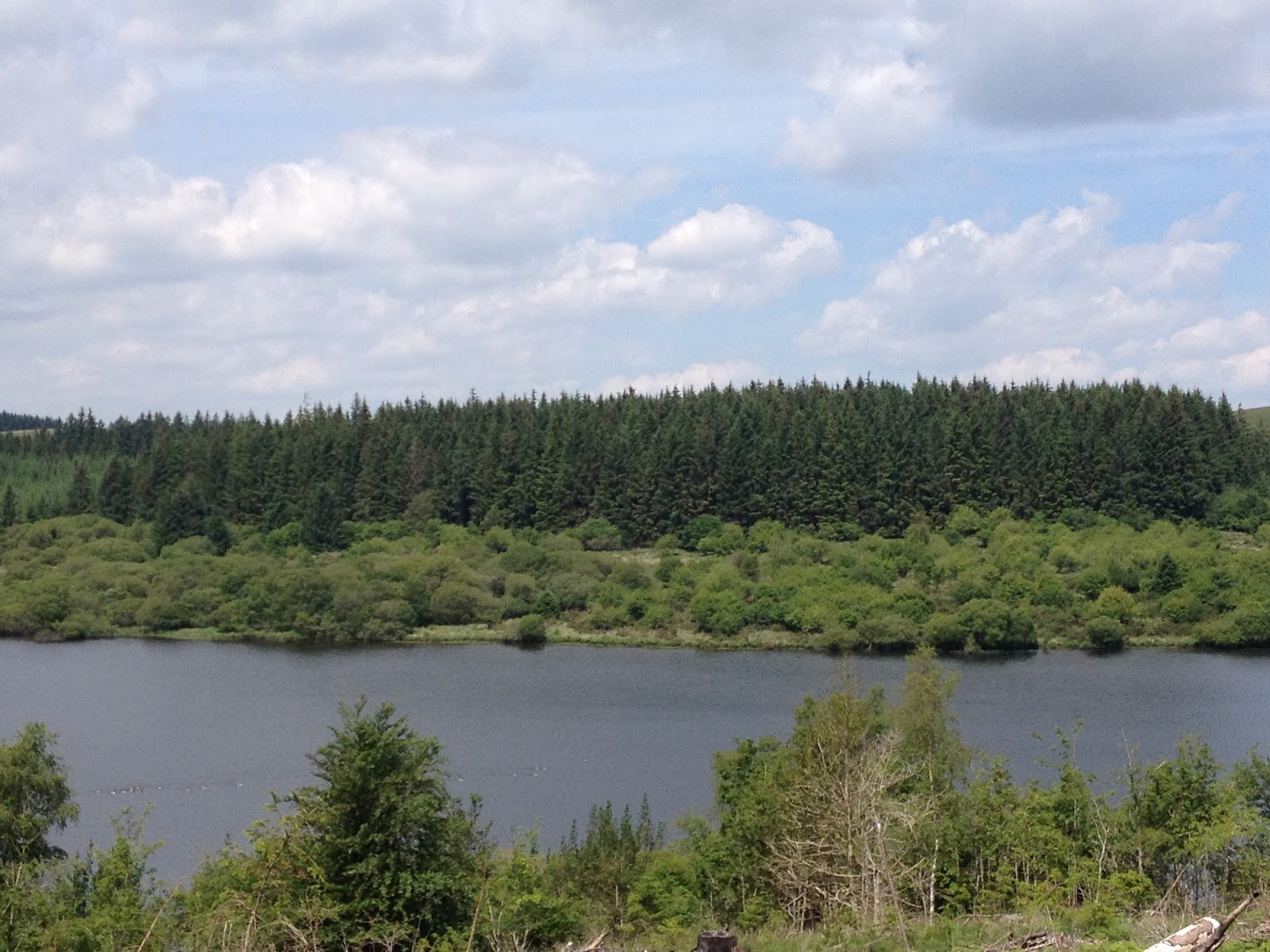 Devon Dad: Fernworthy Reservoir Chagford