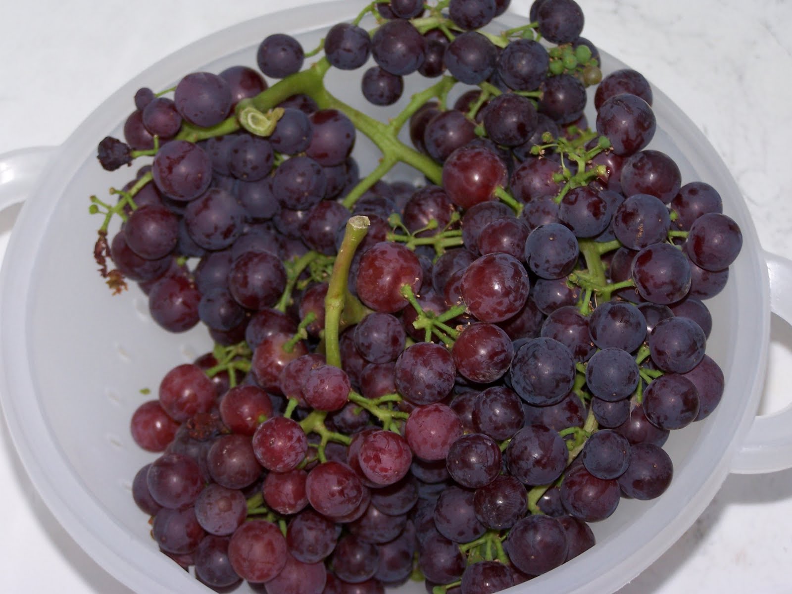 Cooks Little Kitchen: Grapes and Wasp