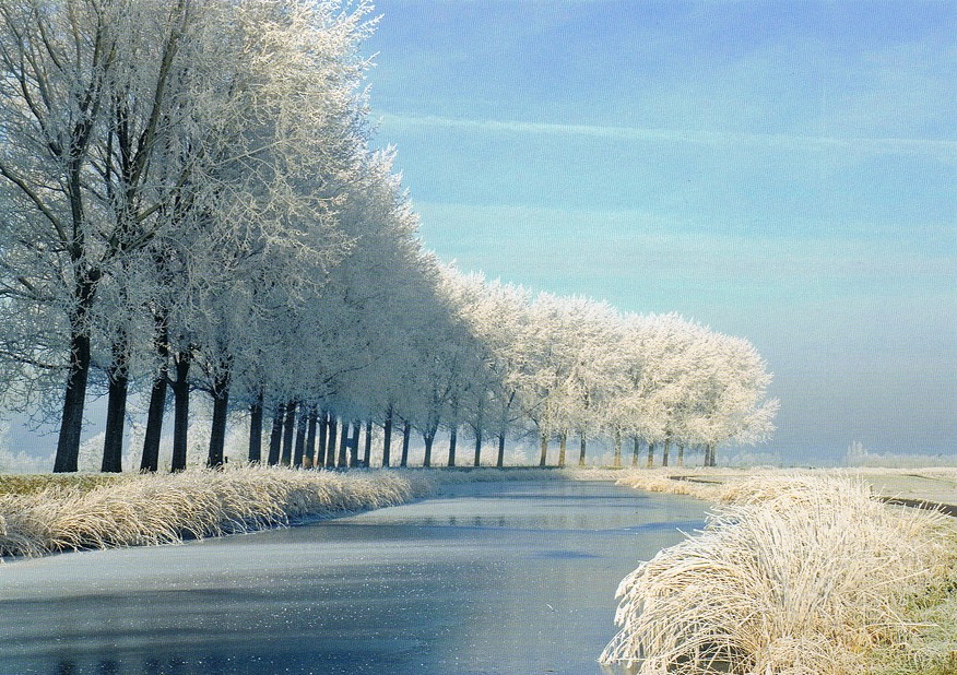 Botros Blogt: De koude winter