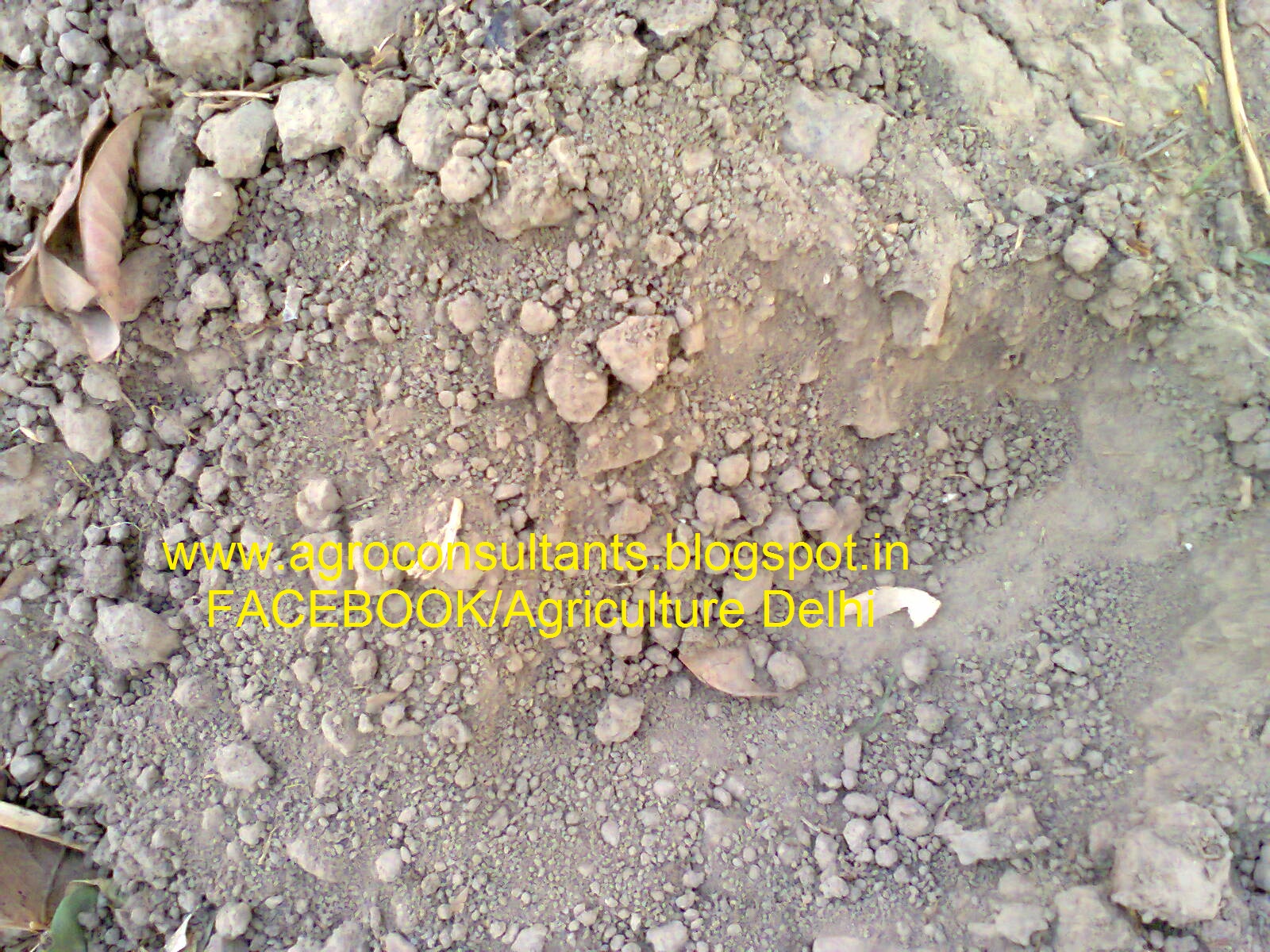 Somesh Jha: Gardening Classes