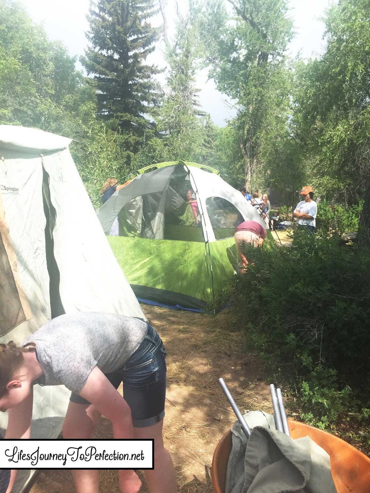 Life's Journey To Perfection: How to Plan a Successful Girl's Camp, a ...