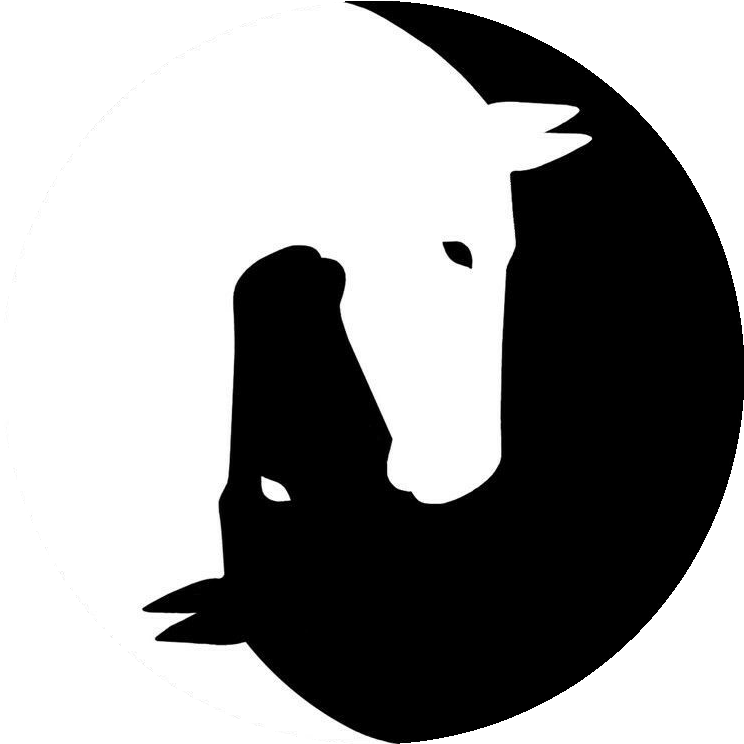 Python Turtle Python Logo Program Turtle Waofamhub Waofamhub