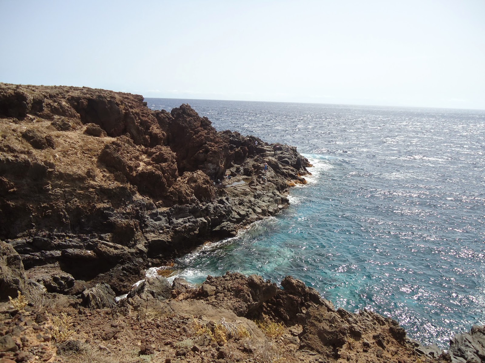 On The Island of Eternal Spring: TGIF