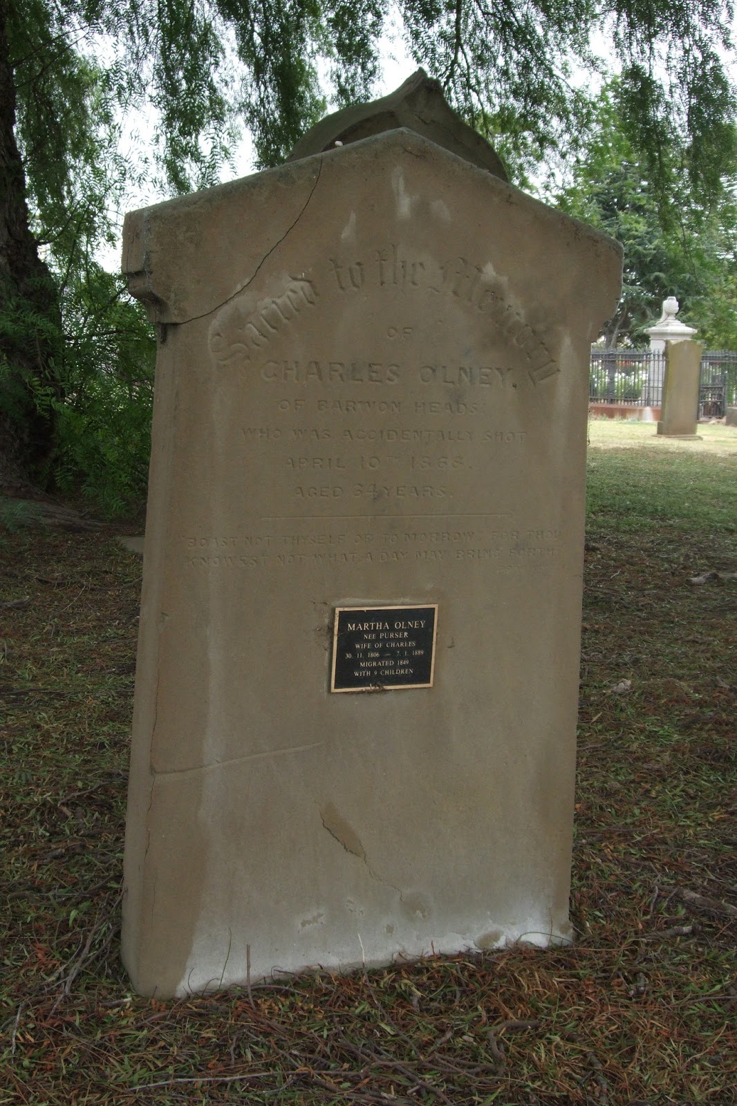 Olney Family Archives