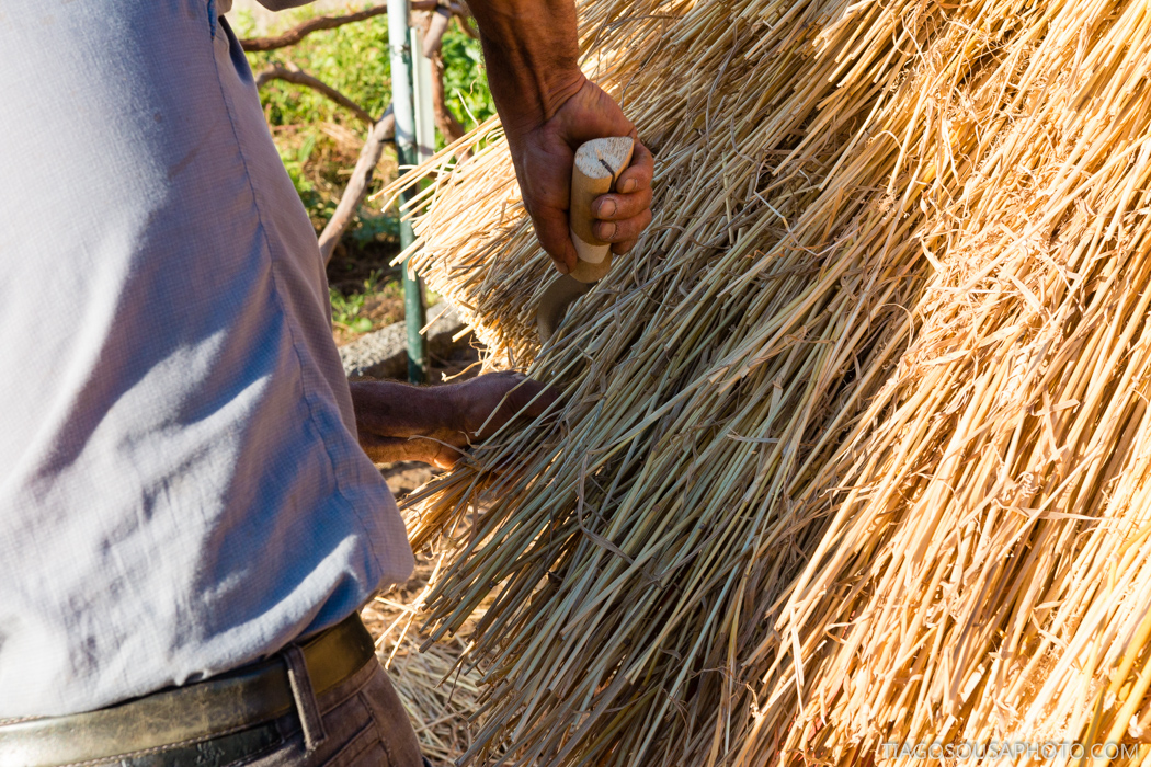 COLMATAÇÃO DE CASA TÍPICA DE SANTANA