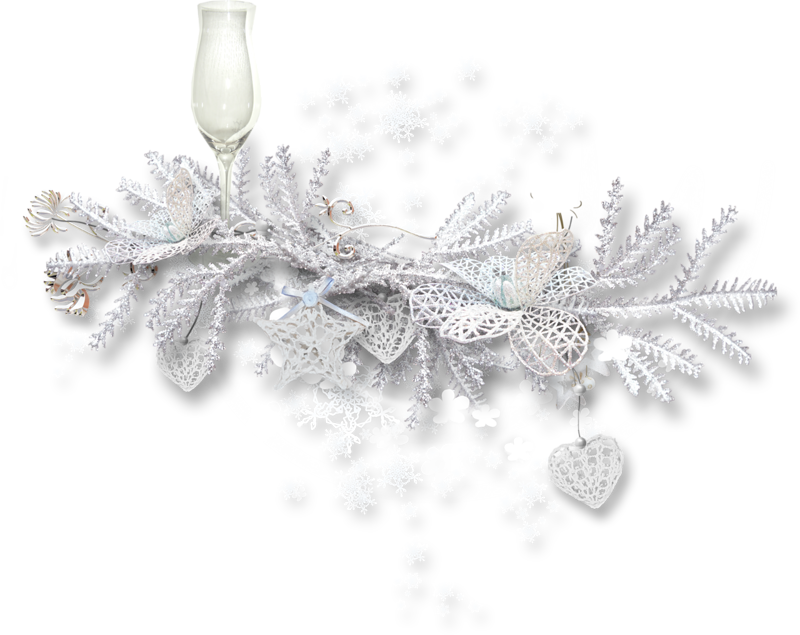 ForgetMeNot: cluster winter