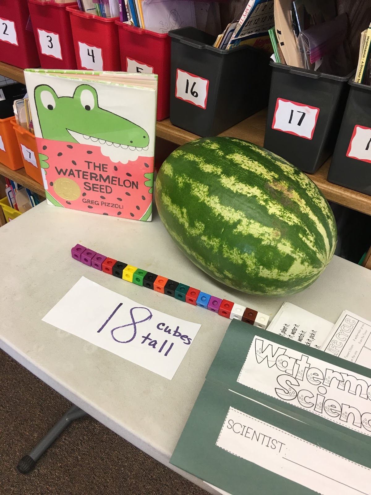 Settle On In to Room 19: First 3 Weeks of our New School Year