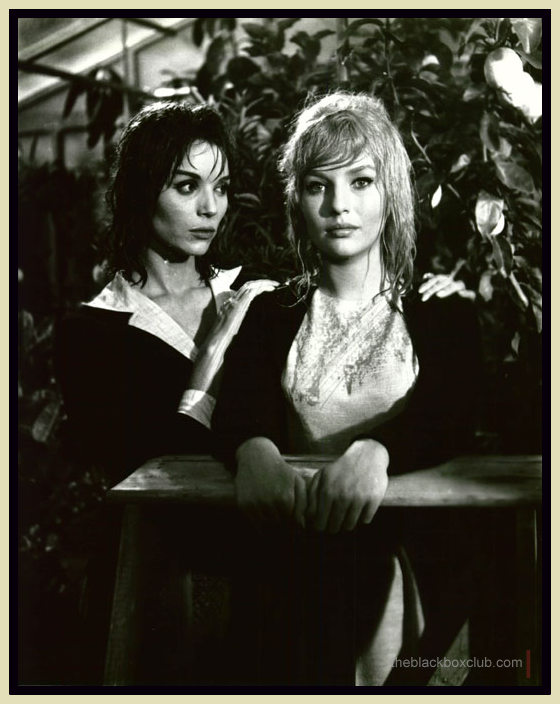 The Black Box Club: BLOOD AND ROSES: ROGER VADIM'S: CAMILLA LITE ...