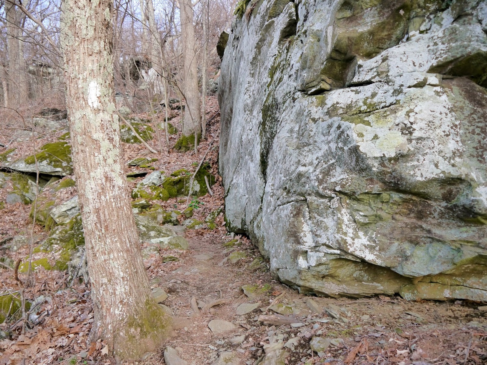 American Travel Journal: Rockfish Gap to McCormick Gap - Appalachian ...