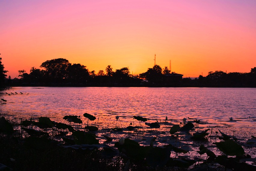 Travel to the mysterious northeast