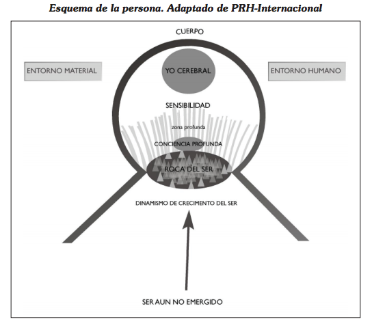 RIFOP: El cuerpo en la estructura de la personalidad (M.ª Rosario ...