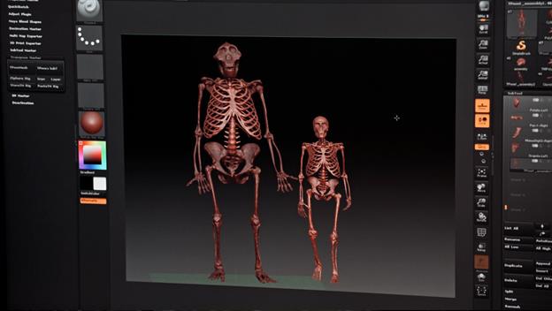 RMSO Bigfoot: 3D prints creating an 8 foot tall Bigfoot size skeleton