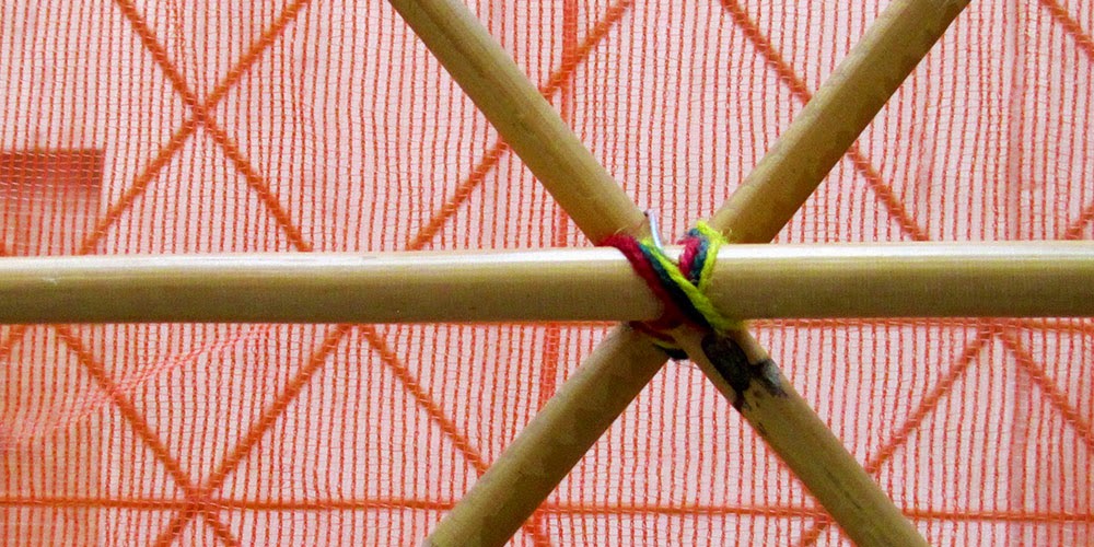 Reforestation and the Medicinal Uses of Trees -Liliana Usvat Research ...