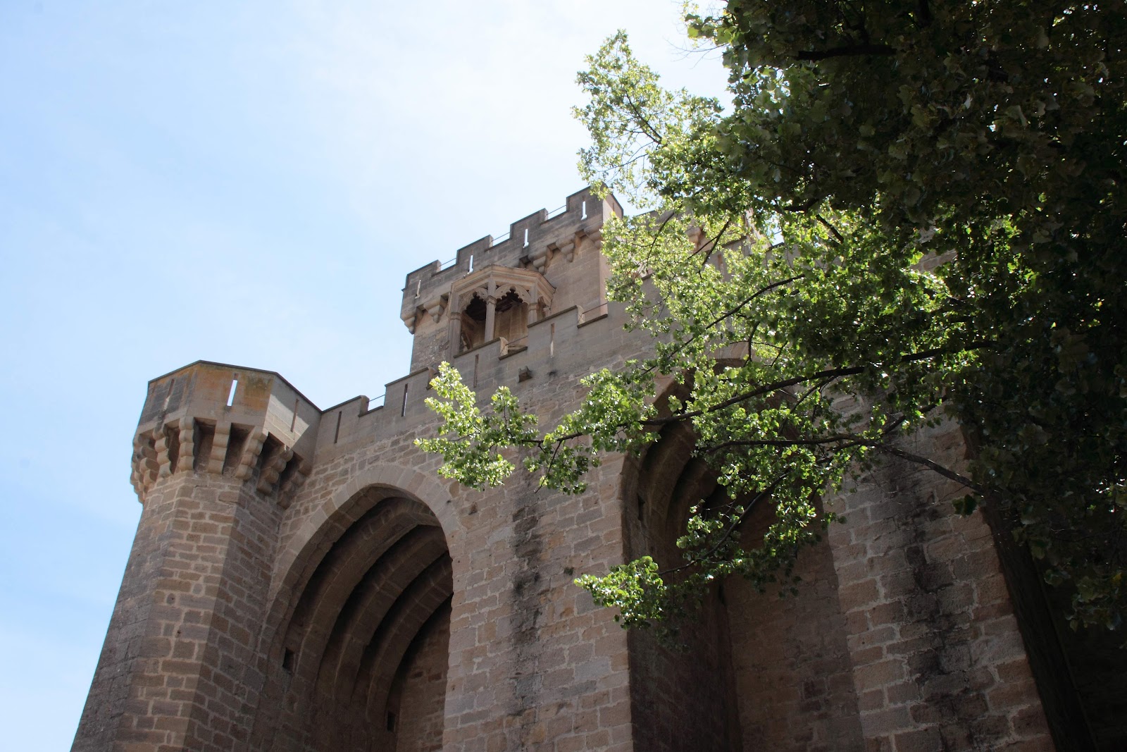 Mis fotografías: Palacio Real de Olite (Navara): 22.JUL.2012