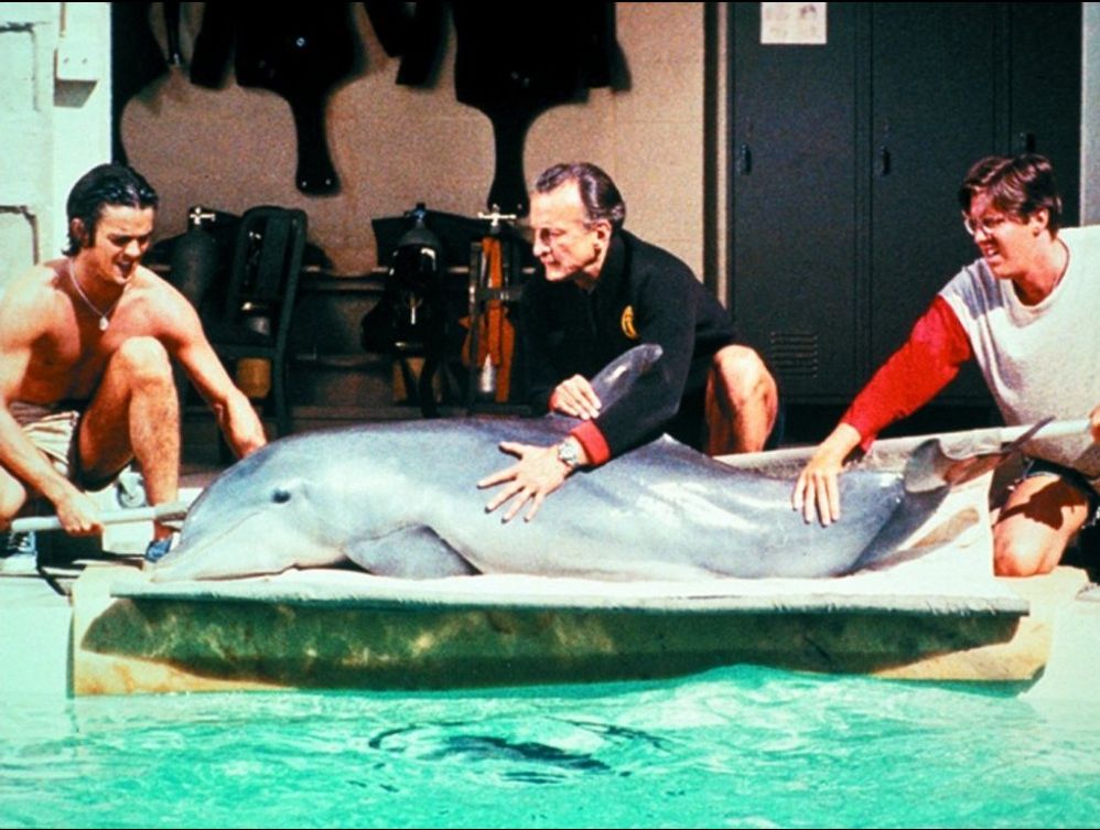 Favorite Hunks & Other Things: Blast From The Past: John David Carson