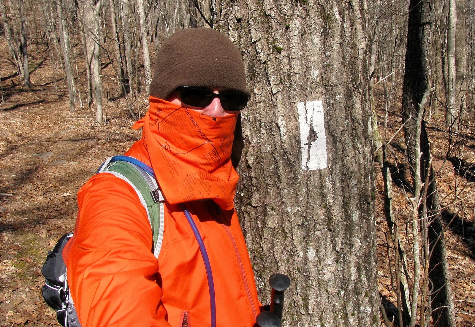 Tales From The Wood Booger: Trail Ratings From Pete & The Wood Booger ...