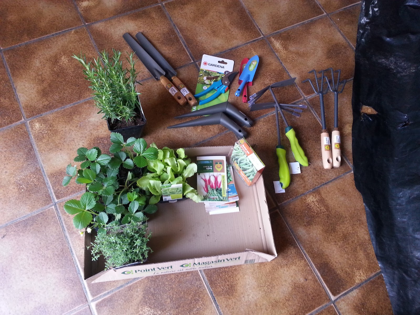 Projets d' Animation au Centre de Loisirs d' Hambye! : Projet Potager ...