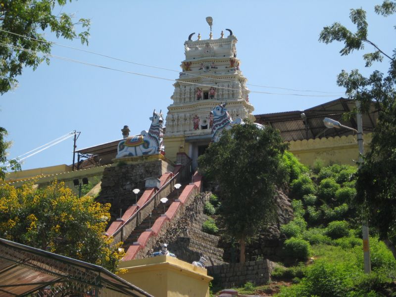 SMUTT'S: mudukuthore mallikarjuna