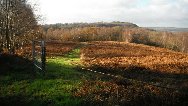 EASTLEIGH RAMBLER: NEW LIPCHIS WAY - DAY ONE