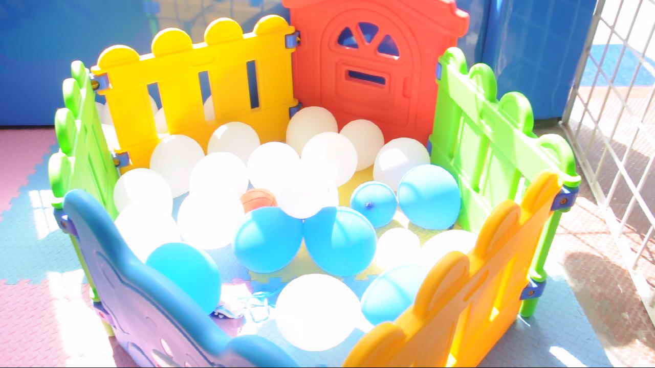 SpringBoard International PreSchool: Springboard Academy Tanuku Opening ...