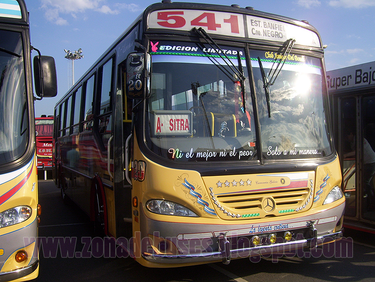 Colectibus - Zona de Buses: LINEA 541
