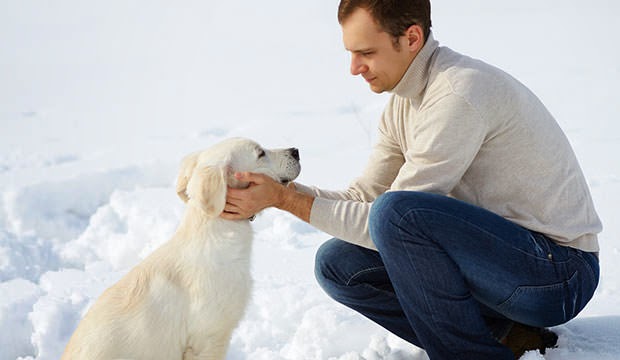 Tips On How To Get Your Dogs Attention - Luv My Dogs