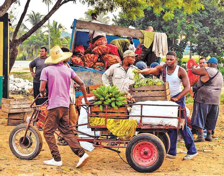 del Illimani a la Amazonia...: El comercio mayorista renace en Cuba ...