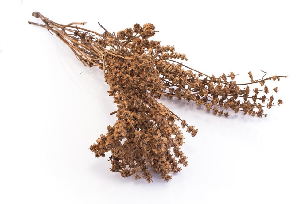 STARI ZANATI: BOSILJAK – KRALJ BILJAKA