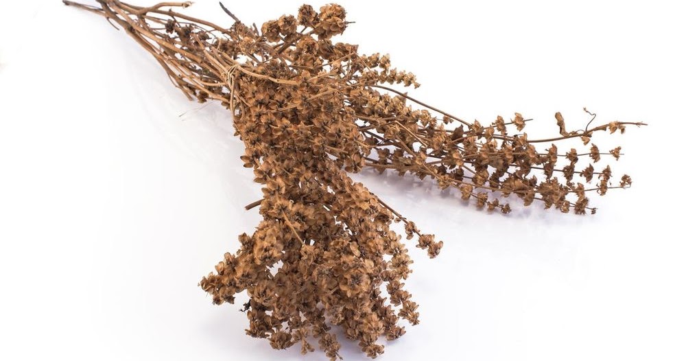 STARI ZANATI: BOSILJAK – KRALJ BILJAKA