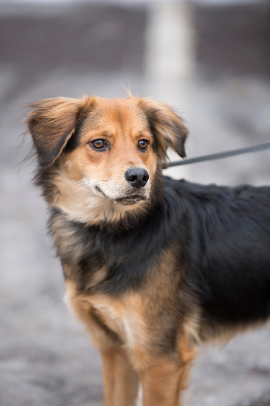 Mr. Lundberg - 6th Grade Science and Innovation: Meet Mr. Lundberg