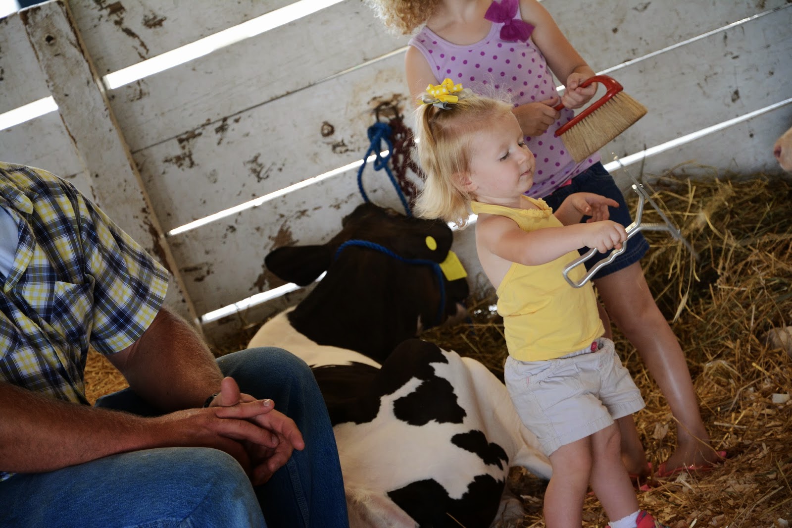 This Farm Family's Life: A Week of Fun at the County Fair...