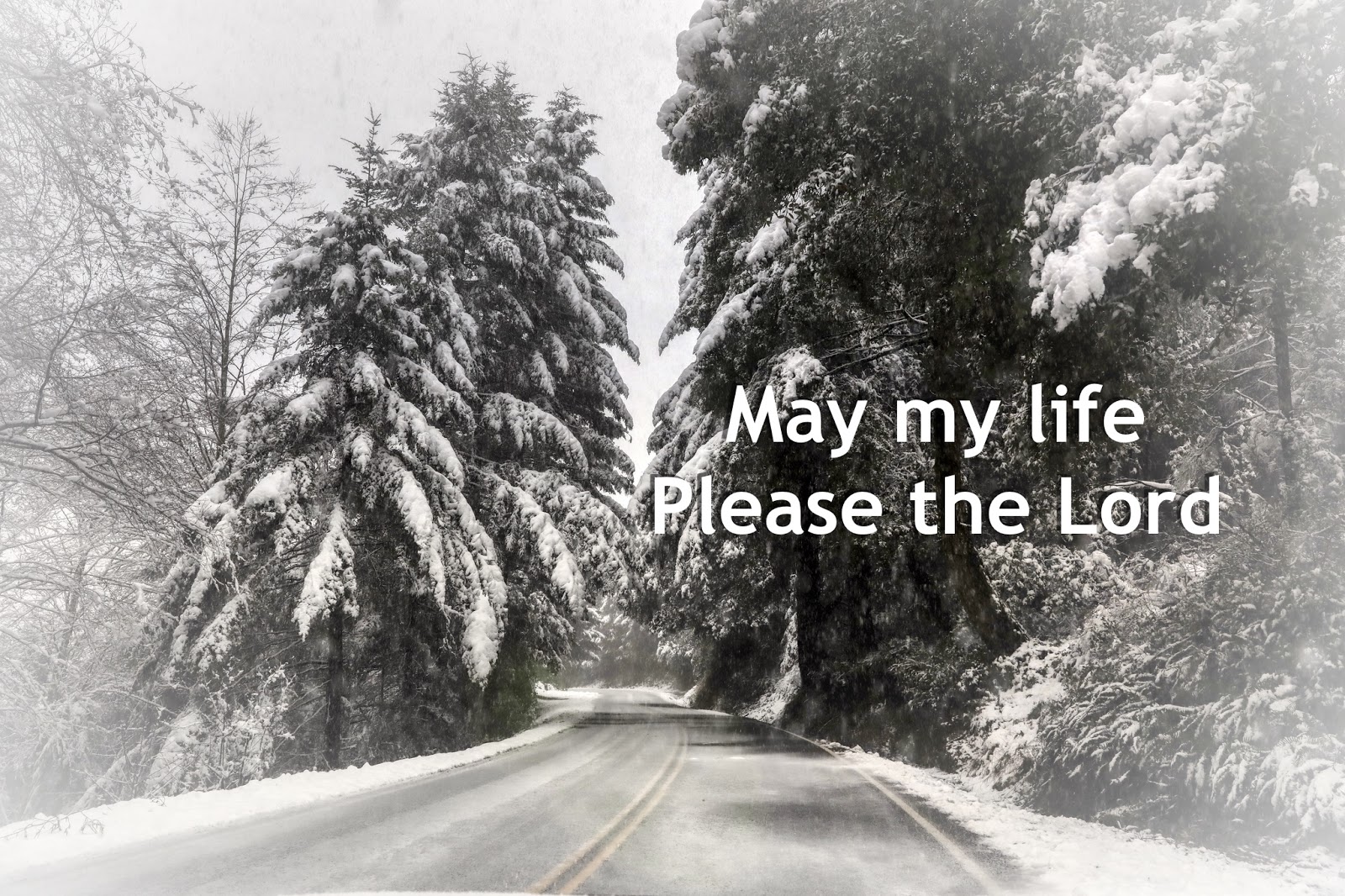 Empowered Bible Studies: Fully Pleasing the Lord