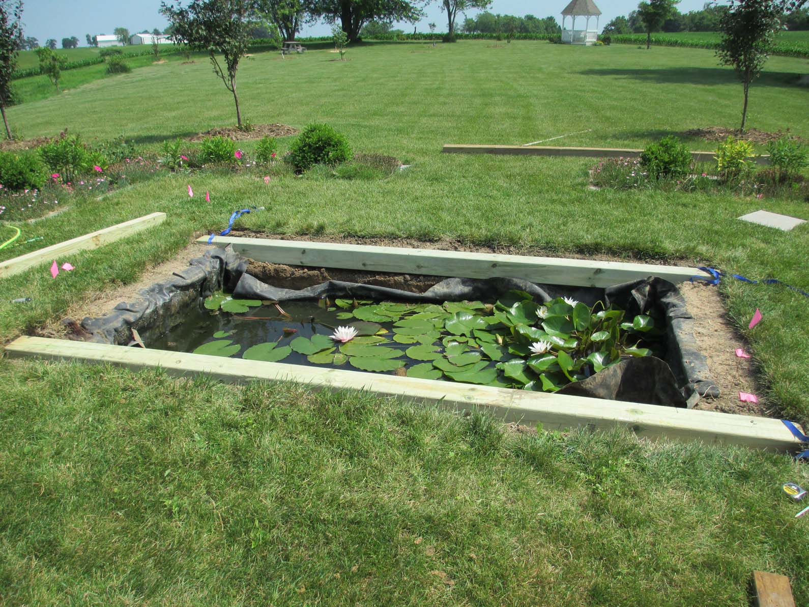 Garden Fancy: Garden Visitors + Pond Emergency = Busy Squared
