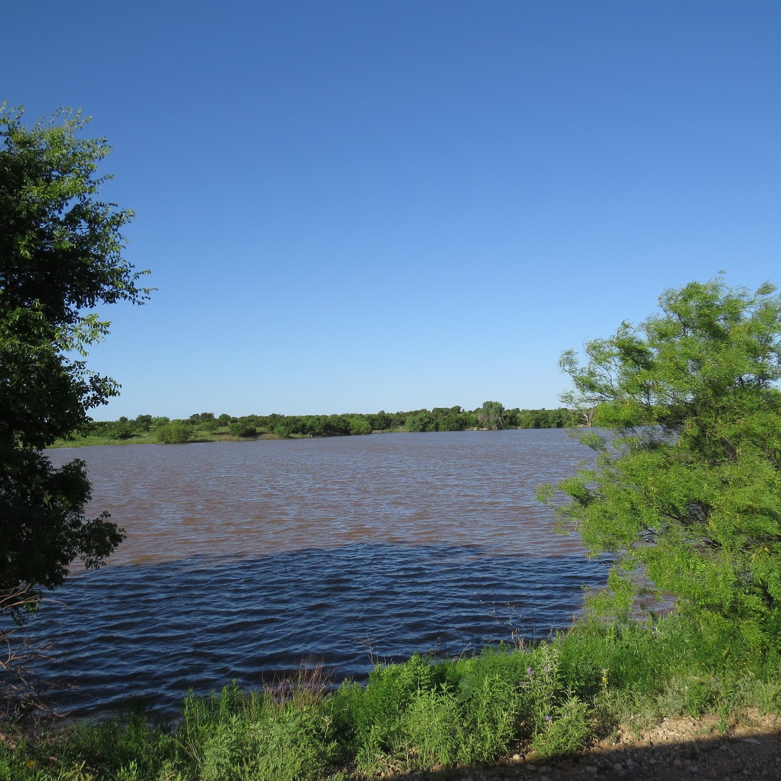Navasota Ranch: Headed home back to Navasota Ranch, Prairie Hills, Texas