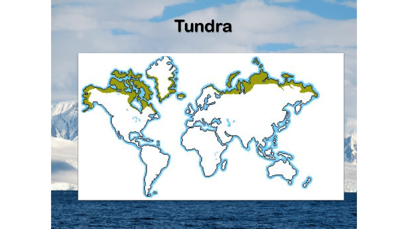 5th Grade - Andrés Segovia: SCIENCE: UNIT 2 - Tundra