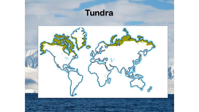 5th Grade - Andrés Segovia: SCIENCE: UNIT 2 - Tundra