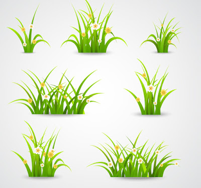 Mẫu vector các loại cây cỏ - Đồ Họa Thầy Dương