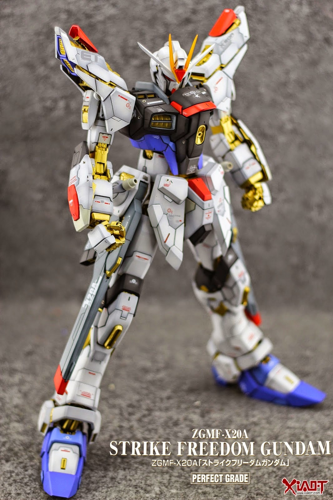 Gundam Family: PG 1/60 Strike Freedom Custom Build