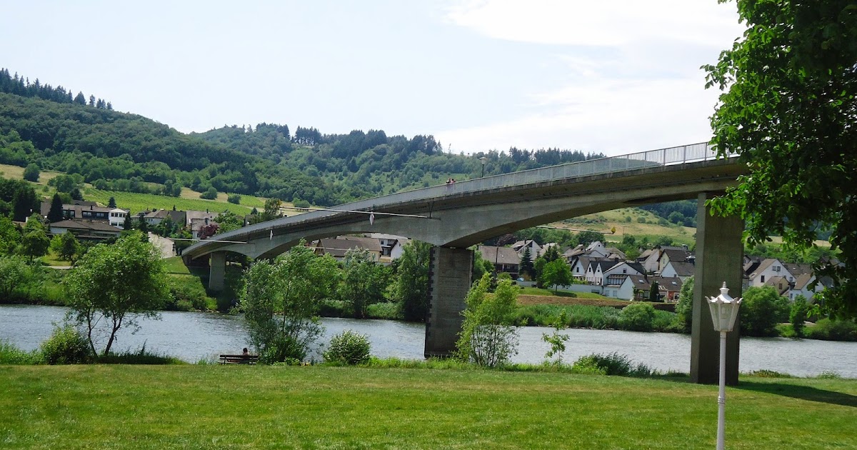 All About Royal Families: Treetuesdaypicture- Kinheim -Germany