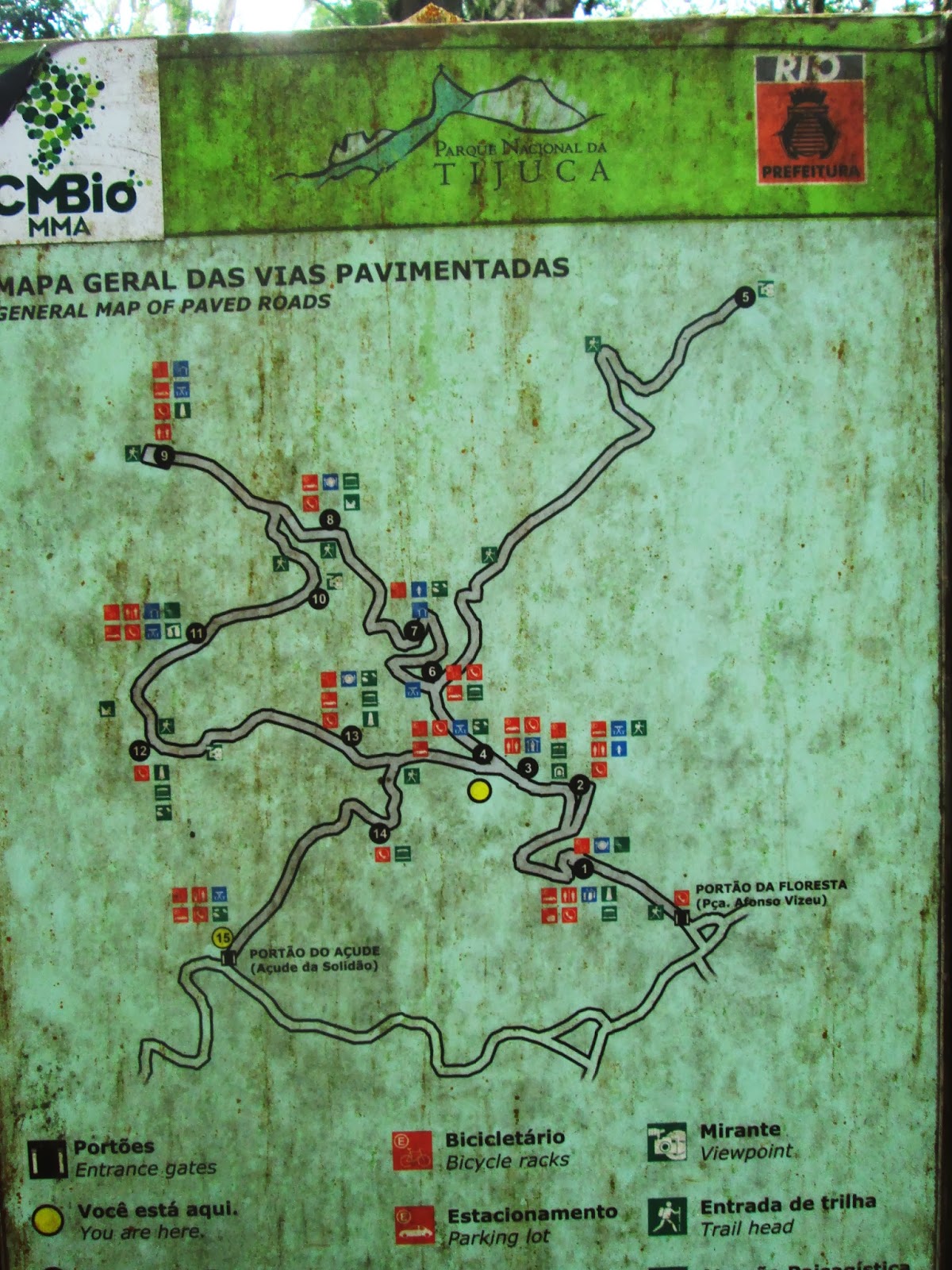 Meu Rio de Janeiro !!!: Passeio na Floresta da Tijuca ...