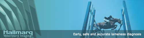 Fran Jurga`s Hoofcare + Lameness: Hallmarq Standing MRI and Chronic ...