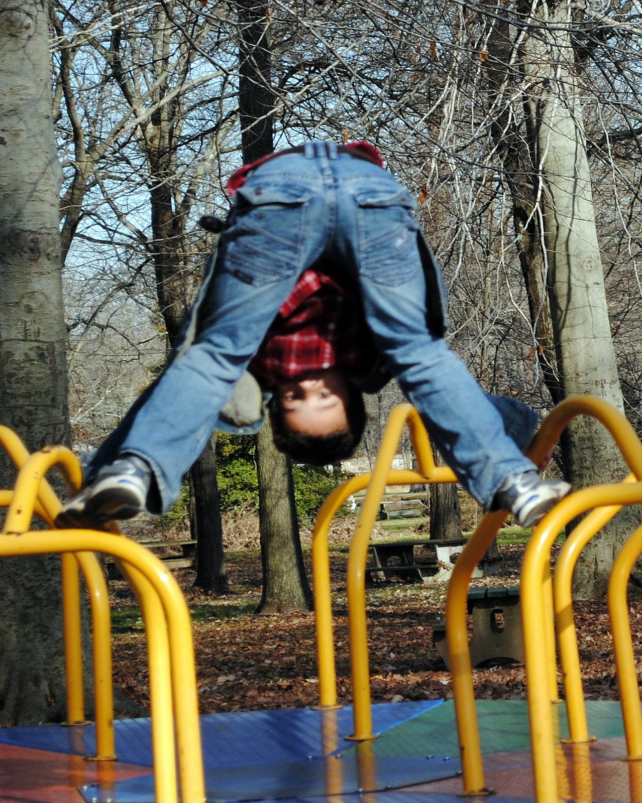 Mommy Needs Therapy...or a bottle of wine.: Family Day