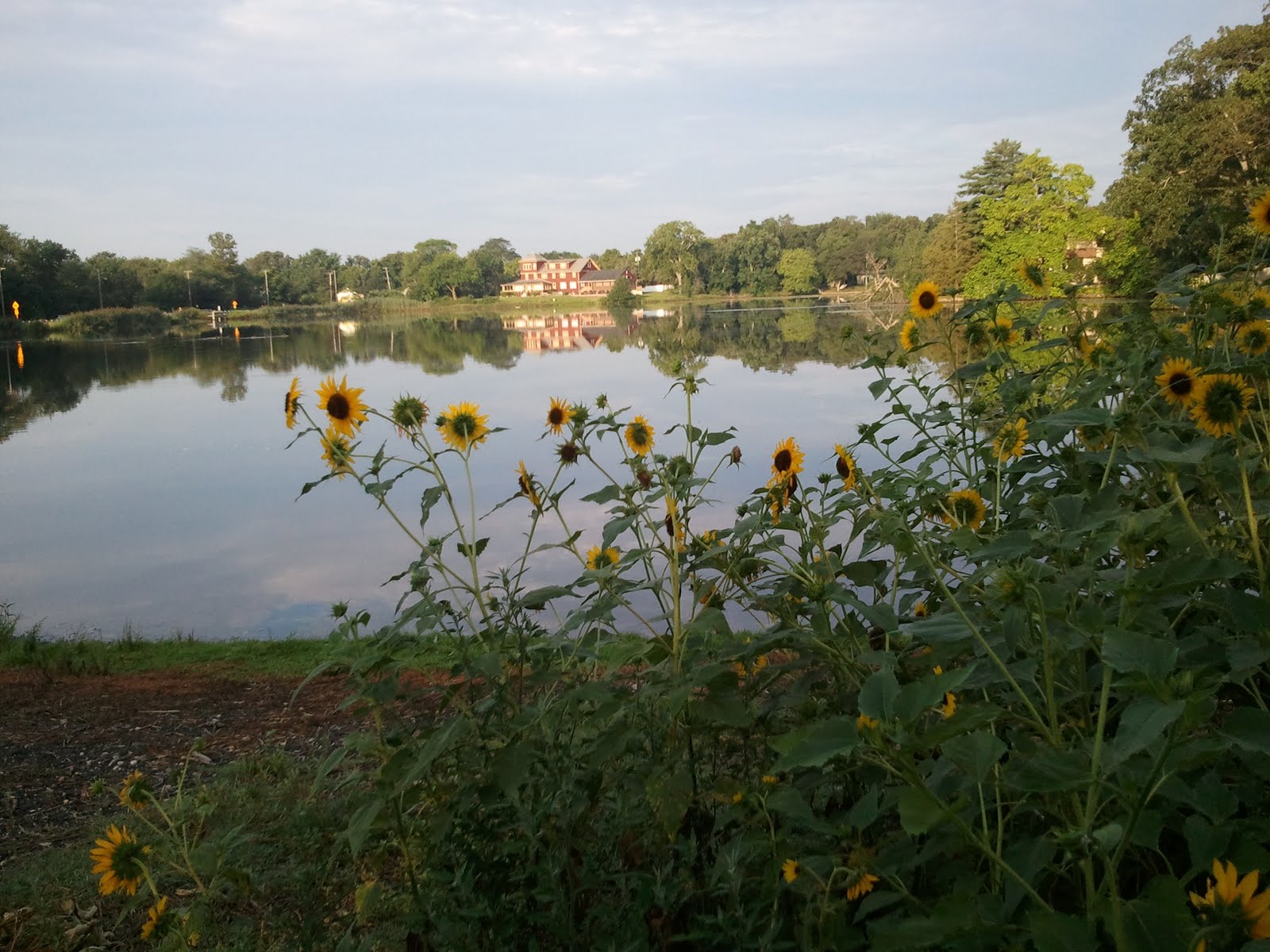 Dolly's Woofington Post___": My Photo Blog