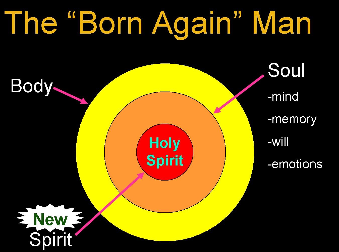 DAILY GRACE: TWO BIRTHS