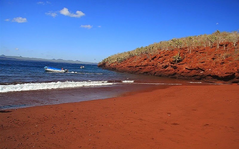 Naturaleza salvaje Blog: La isla Rábida
